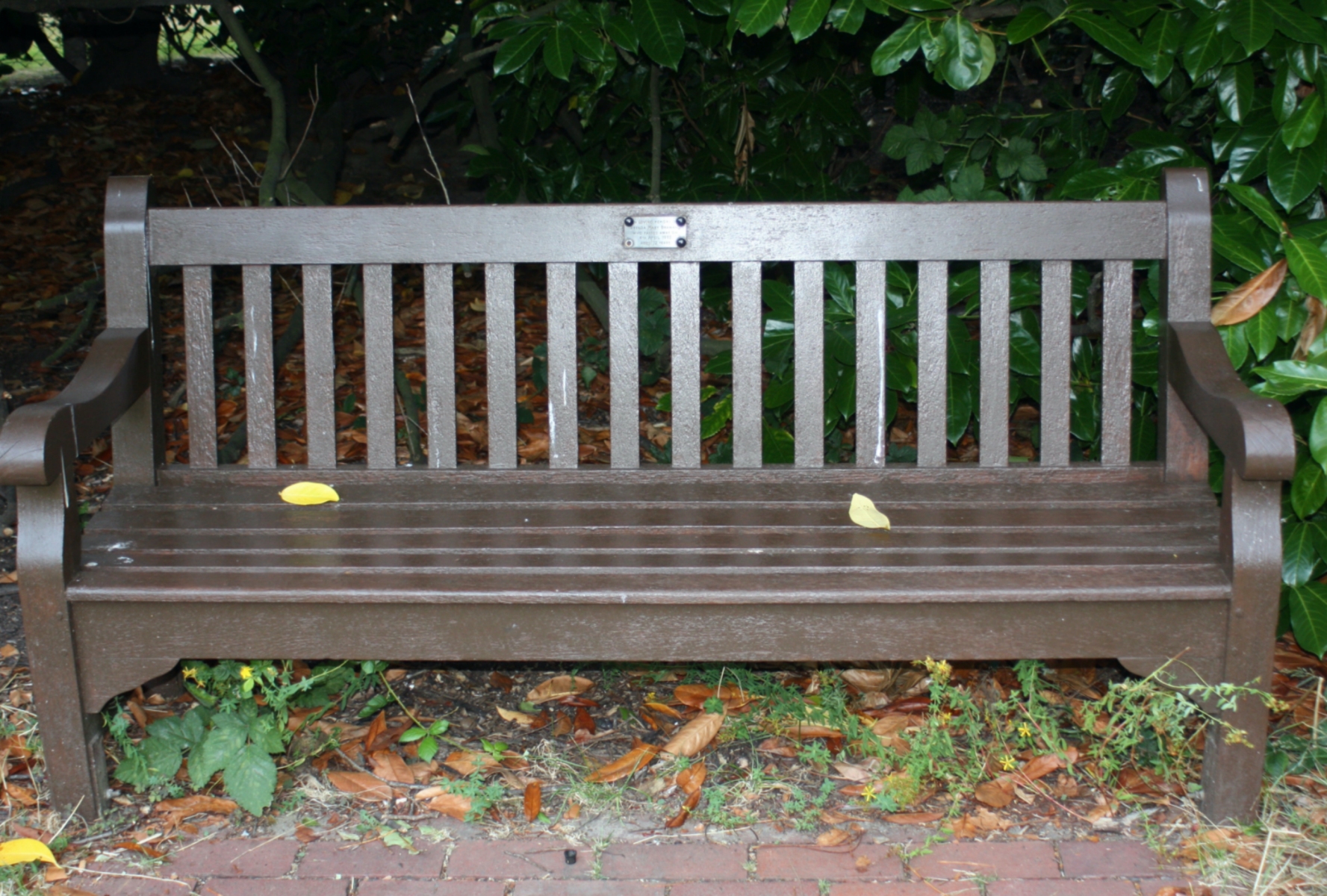 Brawand – Beckenham History