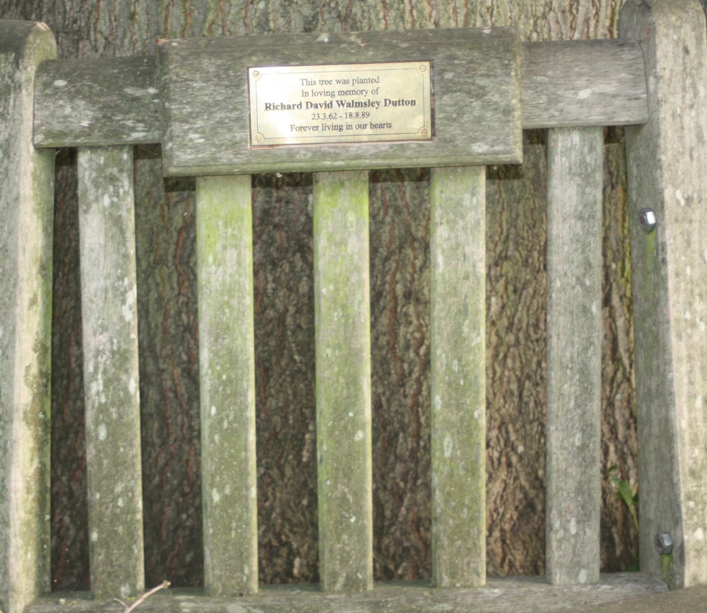 Dutton – Beckenham History